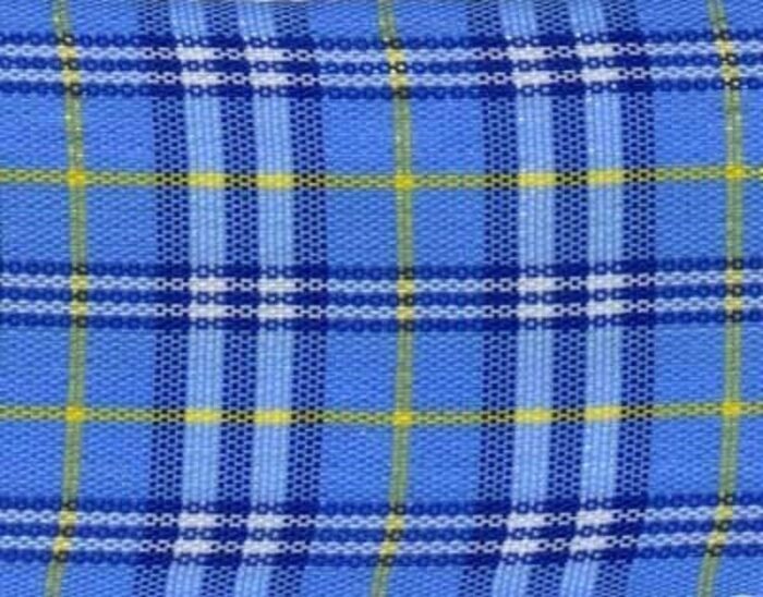 Tartan Ribbon Archives - Ann Simpson